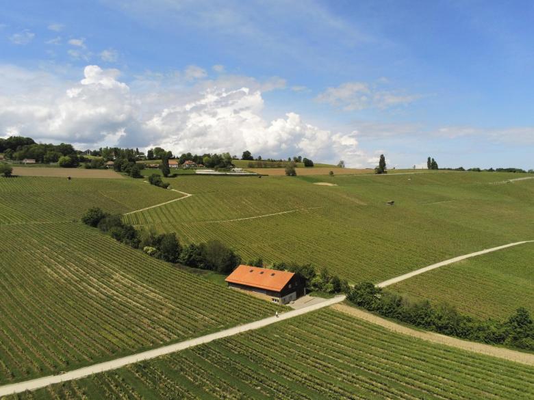 La famille Molliex fête ses 100 ans à Féchy-Dessus | Office des Vins ...